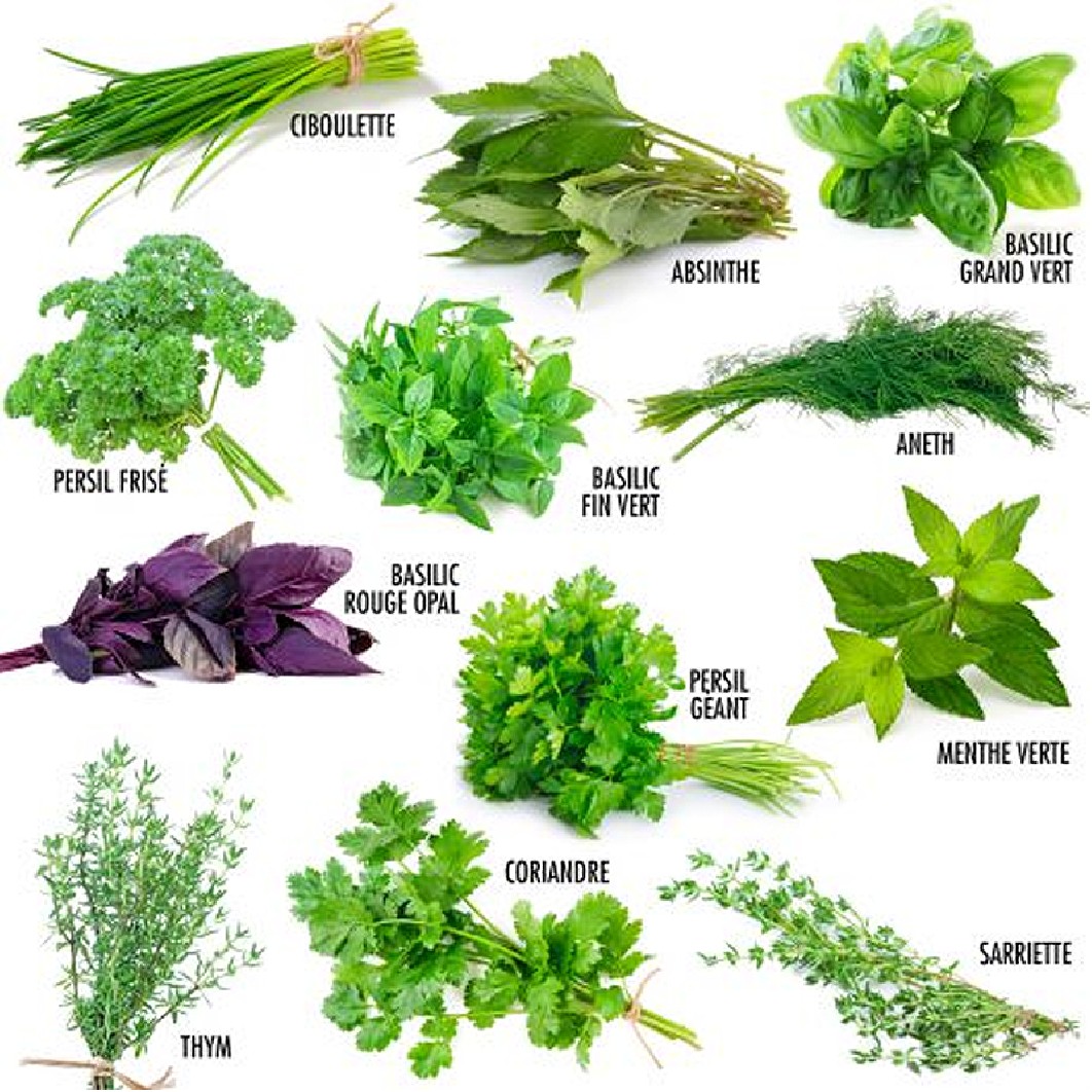 Coffret de graines de 12 herbes aromatiques à planter